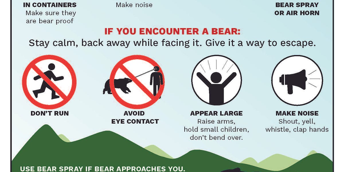 Urgent Advisory: Multiple Black Bear Sightings in Forest Park