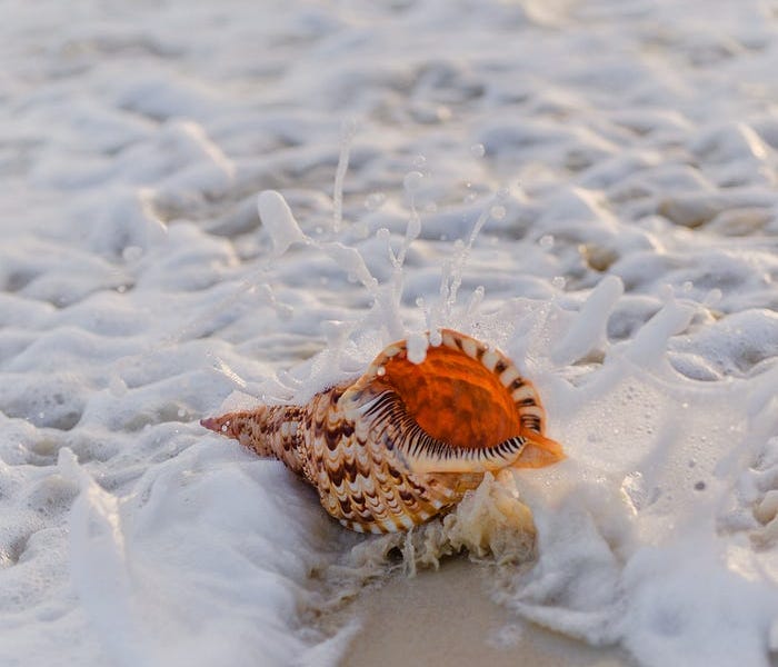 Shell Scripting Unveiled Navigating Through Automation Use Cases And Alternatives In System