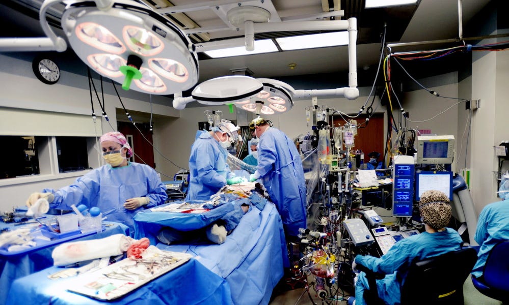 This Is Phalloplasty - by William A. Ferguson