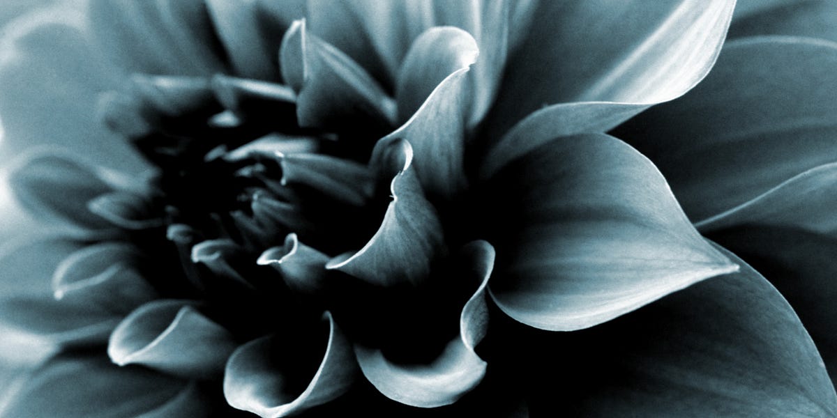 Libido 2.0: Sex, Pharmaceuticals and Toys