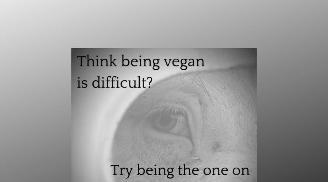 Vegan Meme of the Day - by Michael Corthell