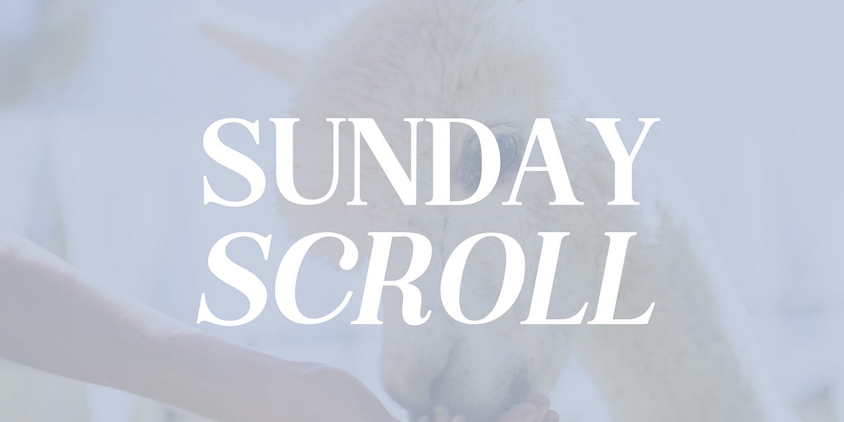 Sunday Scroll #4 - Emily Ley’s Substack
