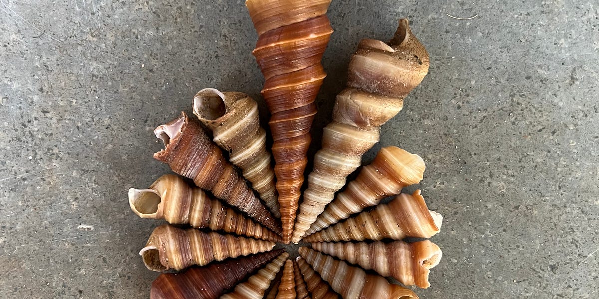 Available for awe - Rest with Lizzie Lasater