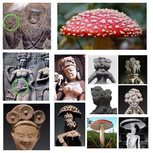 Soma: A Deep Dive into the Sacred Vedic “Drug” and Its Connection to ...