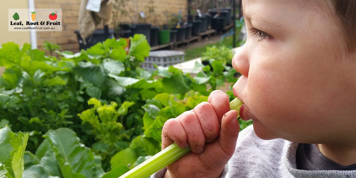 Grow what you eat. - by Duncan Cocking - Leaf, Root & Fruit