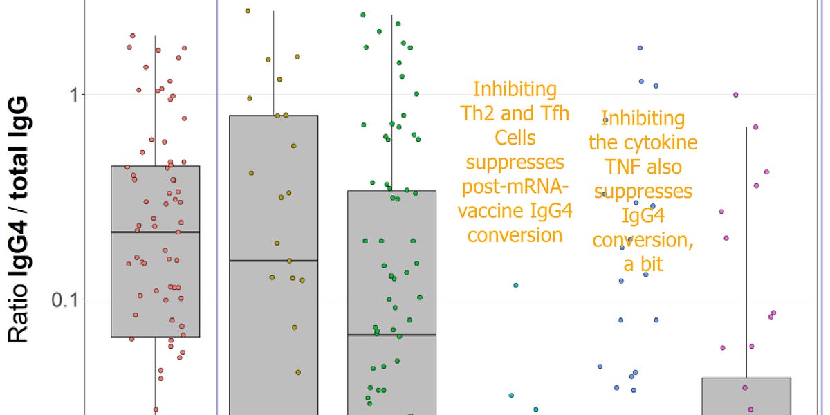 IgG4 and T Cells - by Brian Mowrey - Unglossed
