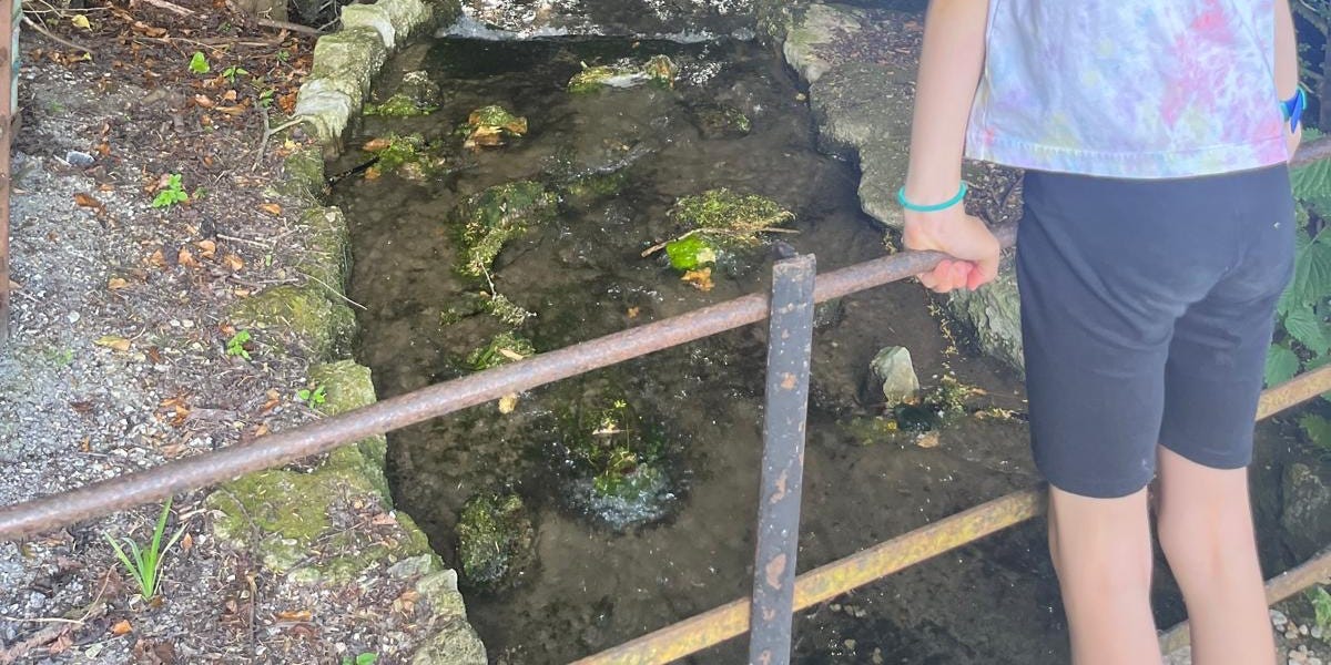 Death of the Unicorn - by Kayleigh Pearce - Joie de Vivre