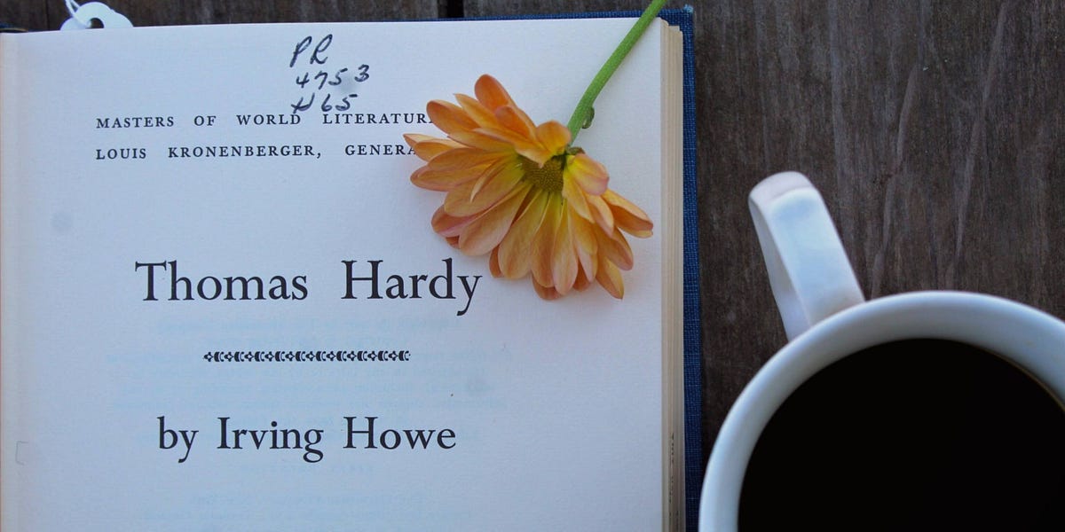 Thomas Hardy by Irving Howe - by Sky - hoppyville