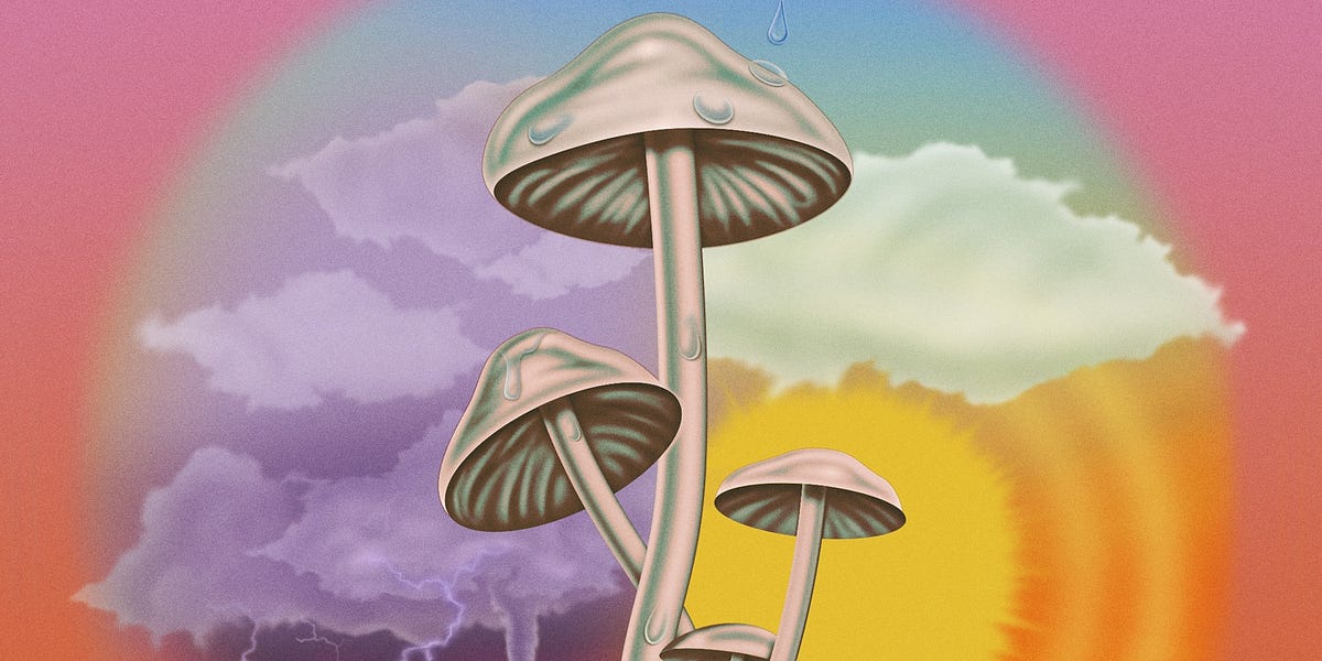 Call the Tripsitter 🛸 - by Cristen Conger - unladylike