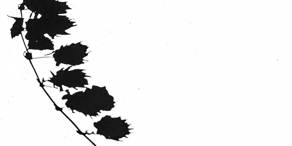 Shadows - by Merlin Uwalaka - Love Letters