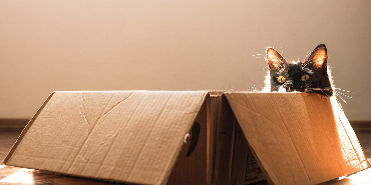 Feeling (Amazon) Boxed In - by Bev Potter