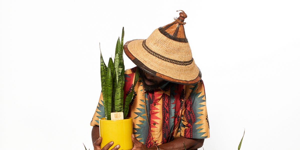 “Connected by Plants” - The Plant Mon’s Substack