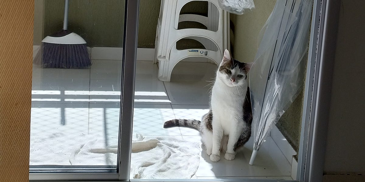 nó das cordas - bruce’s Substack