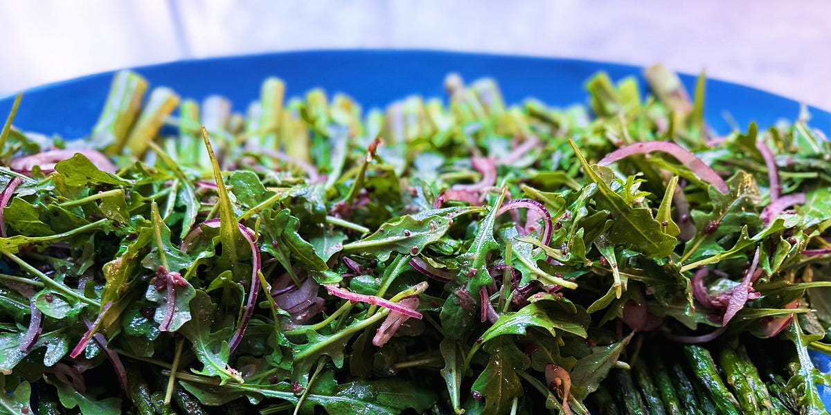 Spring Salad Training Has Started (Boing! Boing! Boing! 🐇 )