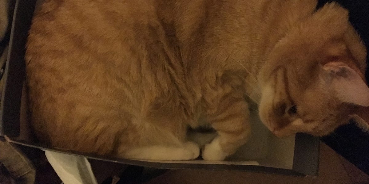 Happy Anniversary To Temporary Insanity!