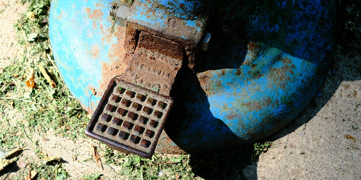 Tower Grove Park - by Andrew Wimmer - Radical Adhesiveness