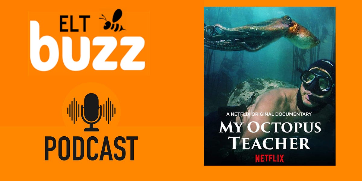 Lessons From – My Octopus Teacher - by David Deubelbeiss