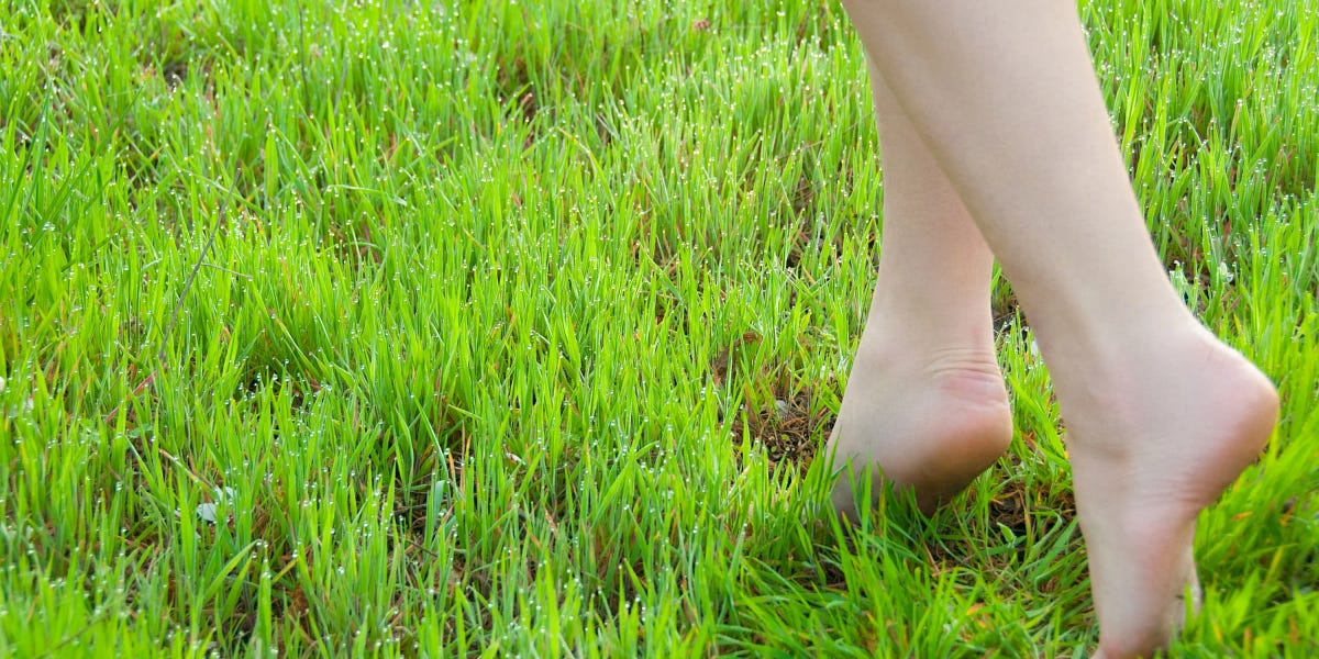 Grounding: Grounded in Science or Not?