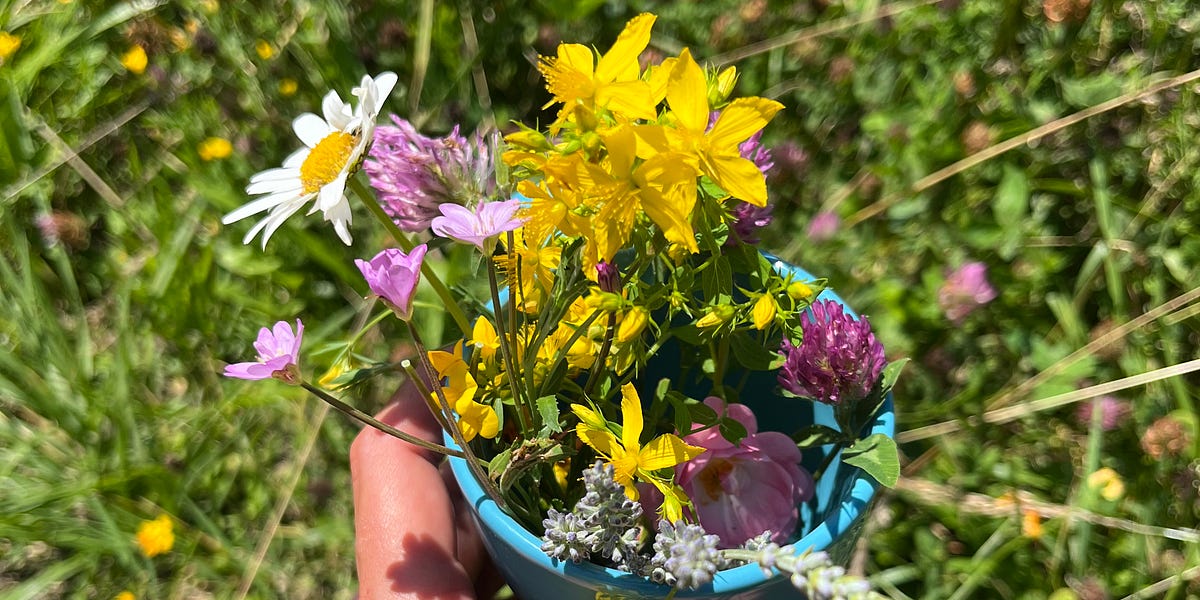 On Taking a Noble Silence - by Sydney Chris - (Un)becoming