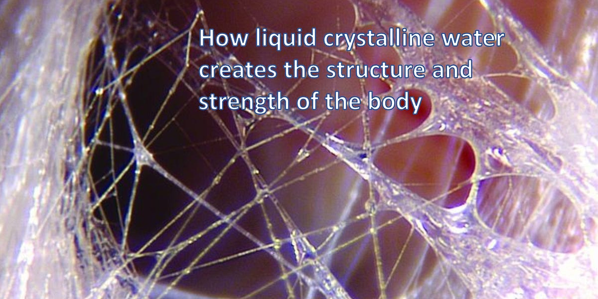 Where Does the Body's Vitality Come From?