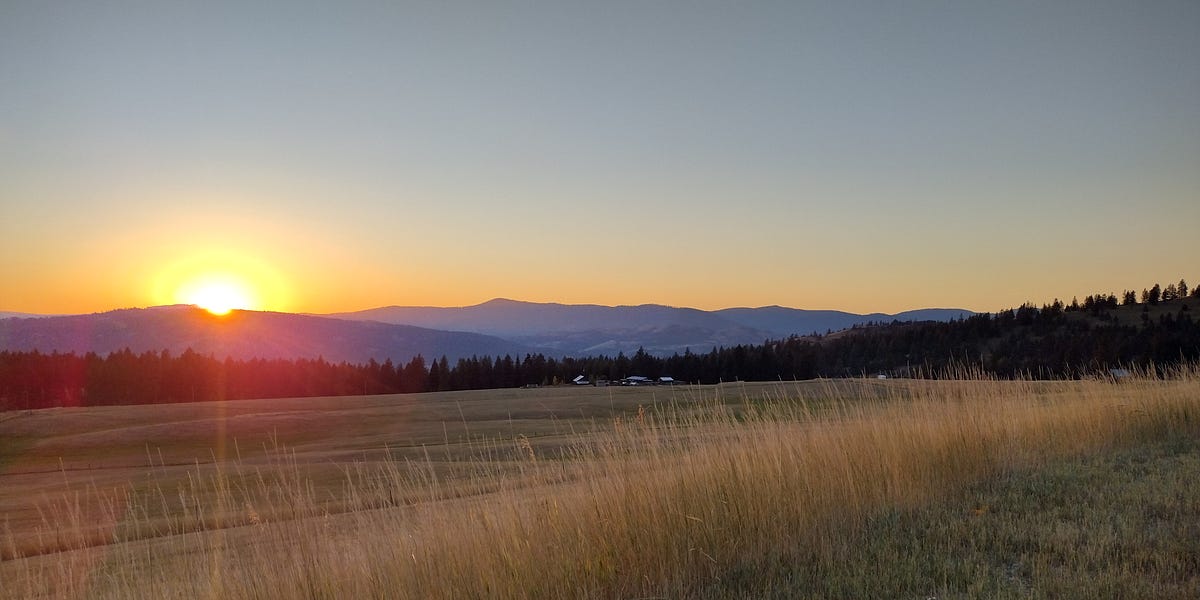 A Last, Longing Look - by J. Daniel Sawyer