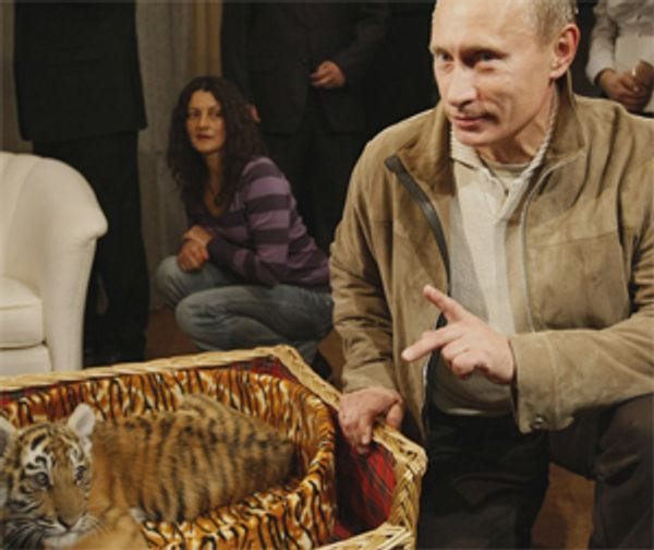 Putin Gets Pretty Tiger For His Birthday - by Jim Newell