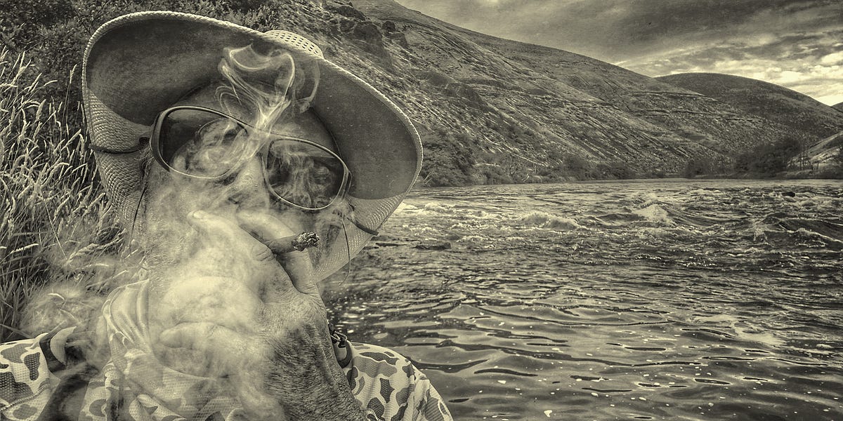 In Praise Of Jimmy Legs - by David E. Perry