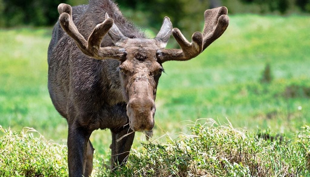 Living on the Edge - by JD Breen - Pretium Insights