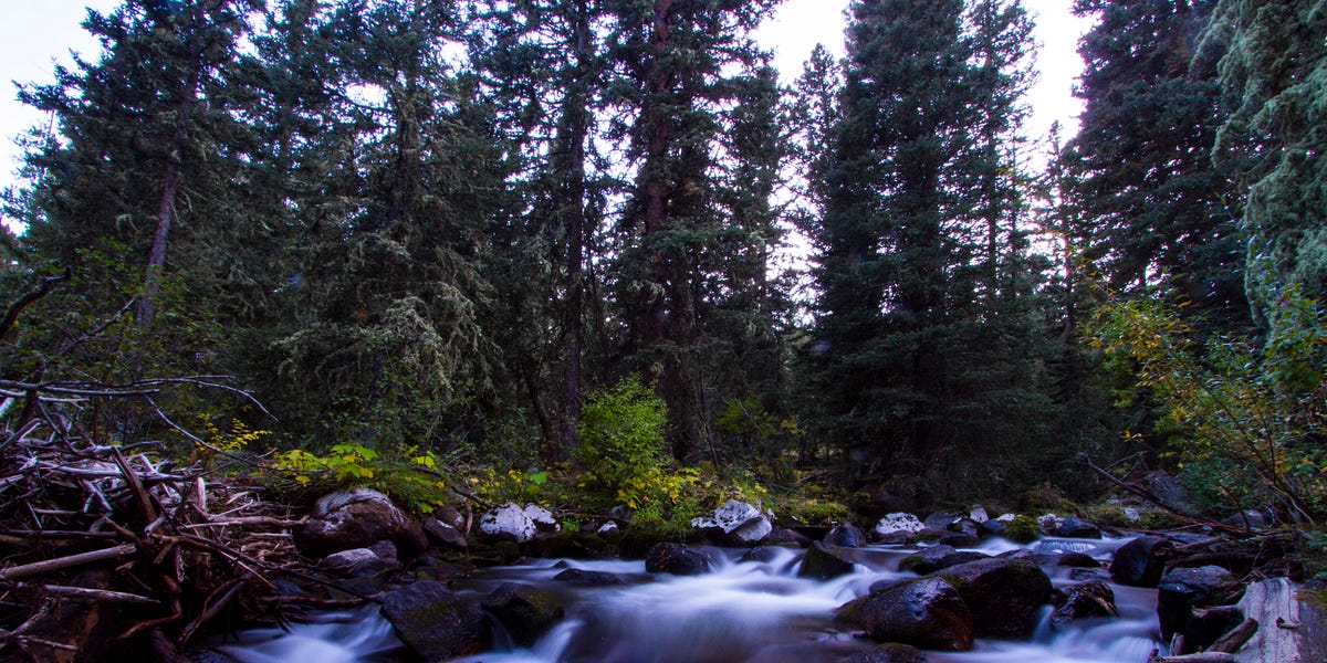 Welcome to Poesis - by Kristopher Drummond - Poesis