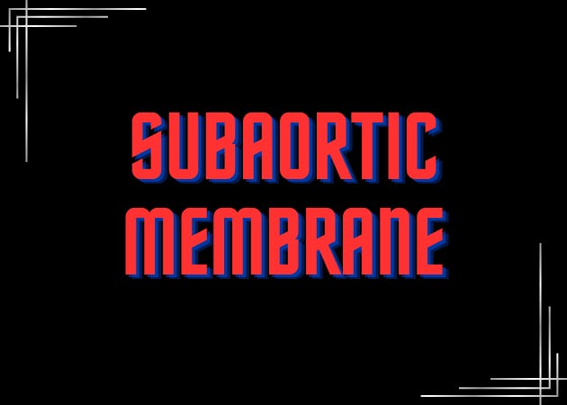Subaortic Stenosis - by Aram K. - The Echo Journal