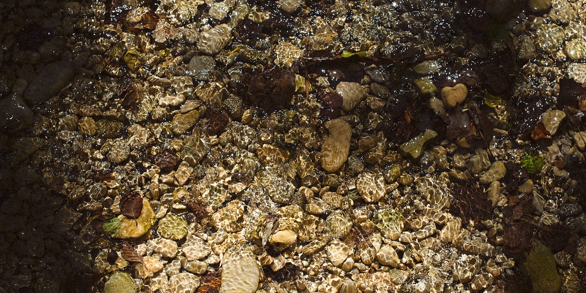 11. Trail of the Pumpkin Stones // Campfire Sparks by Eric Pan