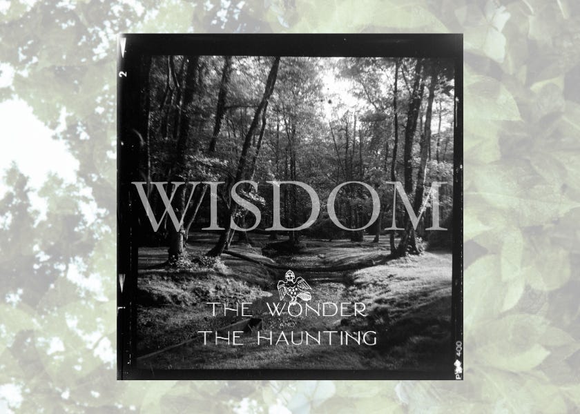 Wisdom Is Not Set In Stone: The fluid and feminine nature of Wisdom