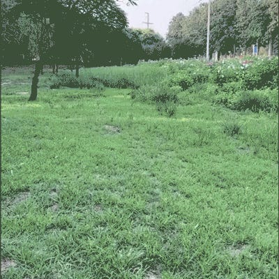 Gliding on Into the Weekend - by Martini Glambassador