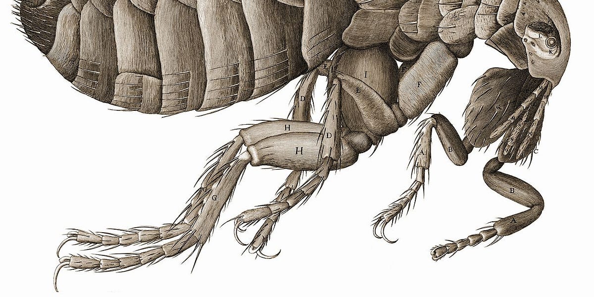 Age of Invention: Outdoing the Ancients