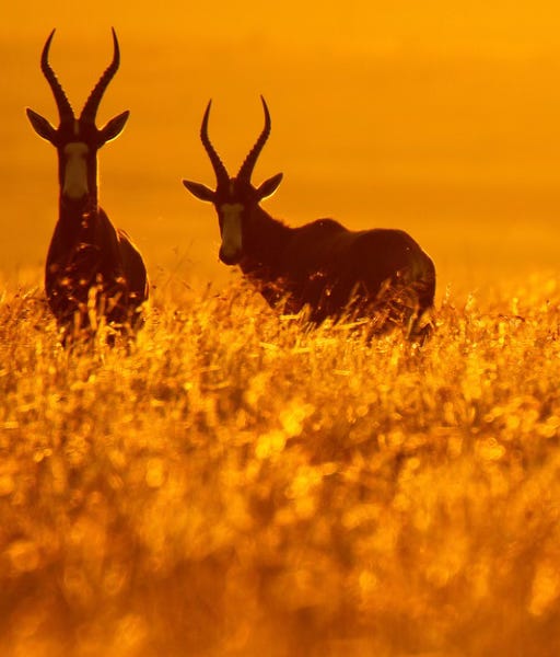 Top 10 Places to Visit in the Free State