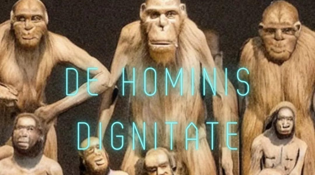 De Hominis Dignitate : from human dignity to the domain of AI, a ...