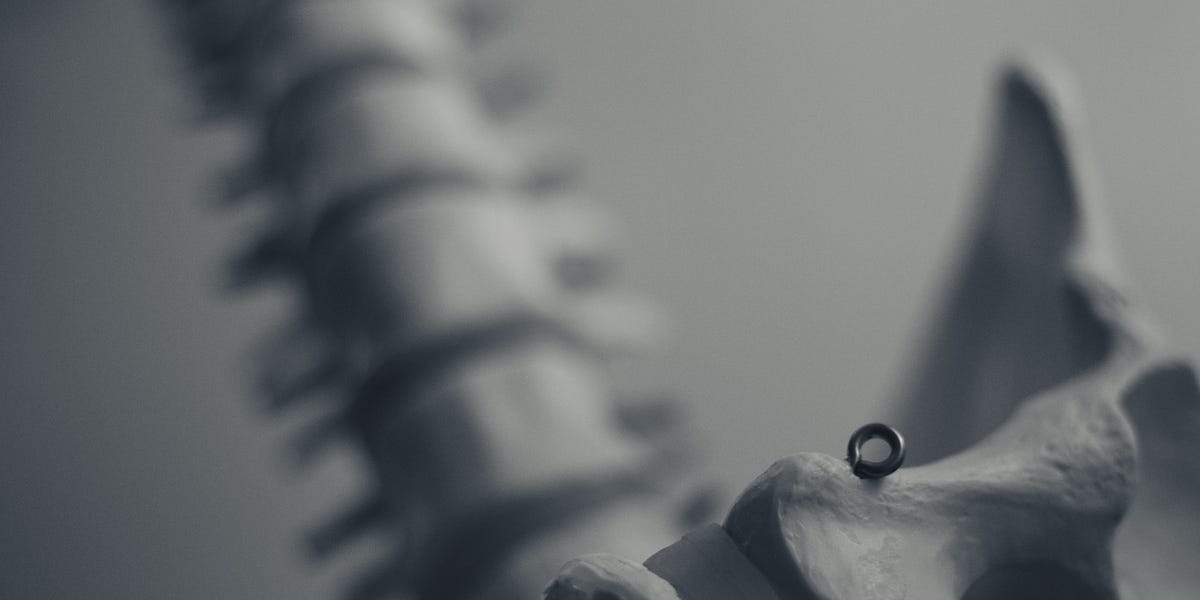 The Pelvis & Hip, lets' clear up the confusion of finding some stability.