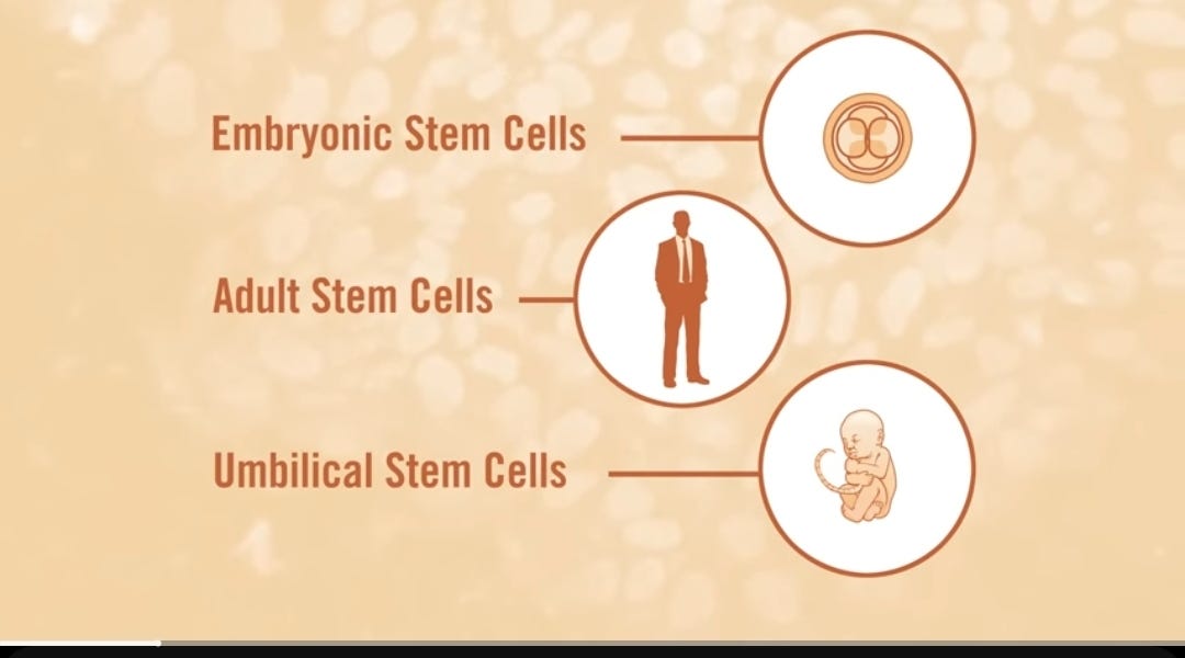 The Future of Medicine ? The Gd Cells - A Fetal Stem Cell Journey.