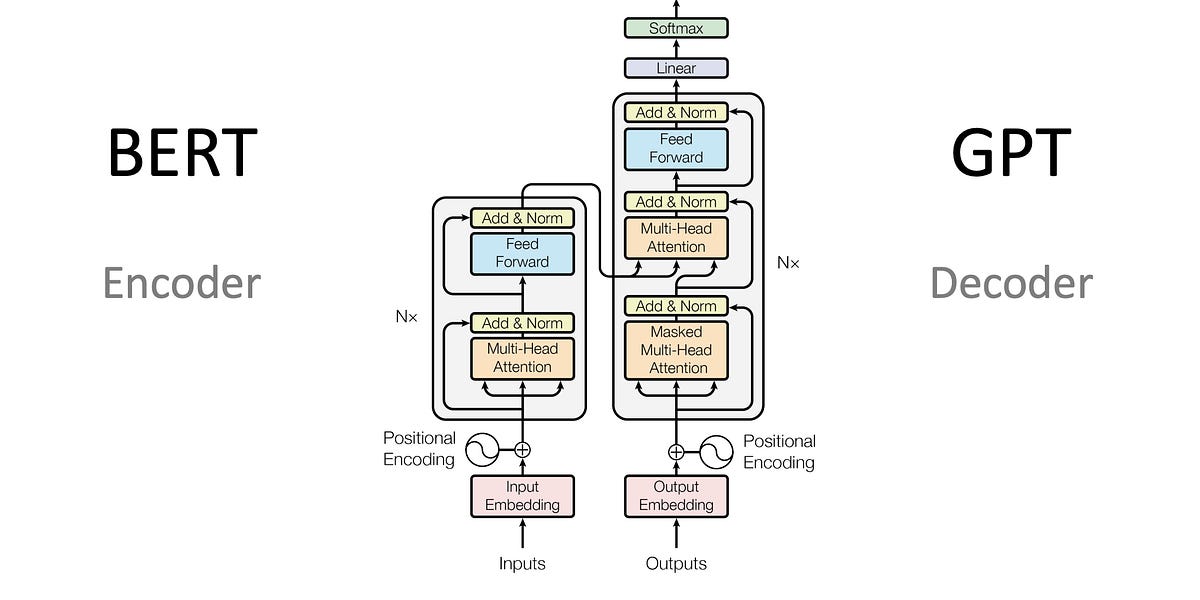 Understanding Protein Language Models Part II: Encoder-only ...