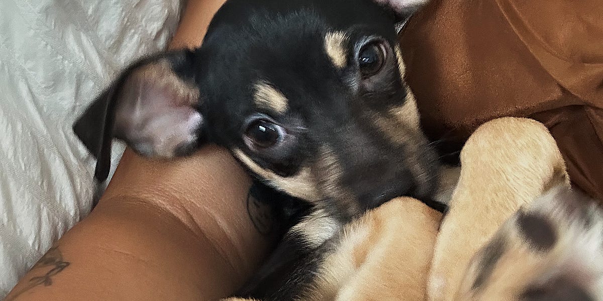 the cowgirl - by Ethaney Lee - try a little tenderness