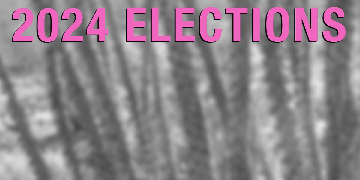 Local Election Results 2024 - by Natalie Zuk