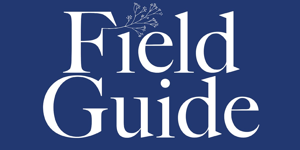Welcome back to Field Guide! - by Maddy Bazil - Field Guide