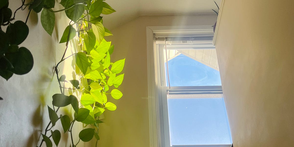 hold onto me - by laura hoenack - Lulubeans