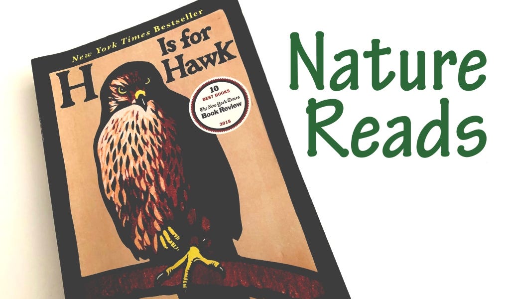 Nature Reads - H for Hawk - by Heather Toner