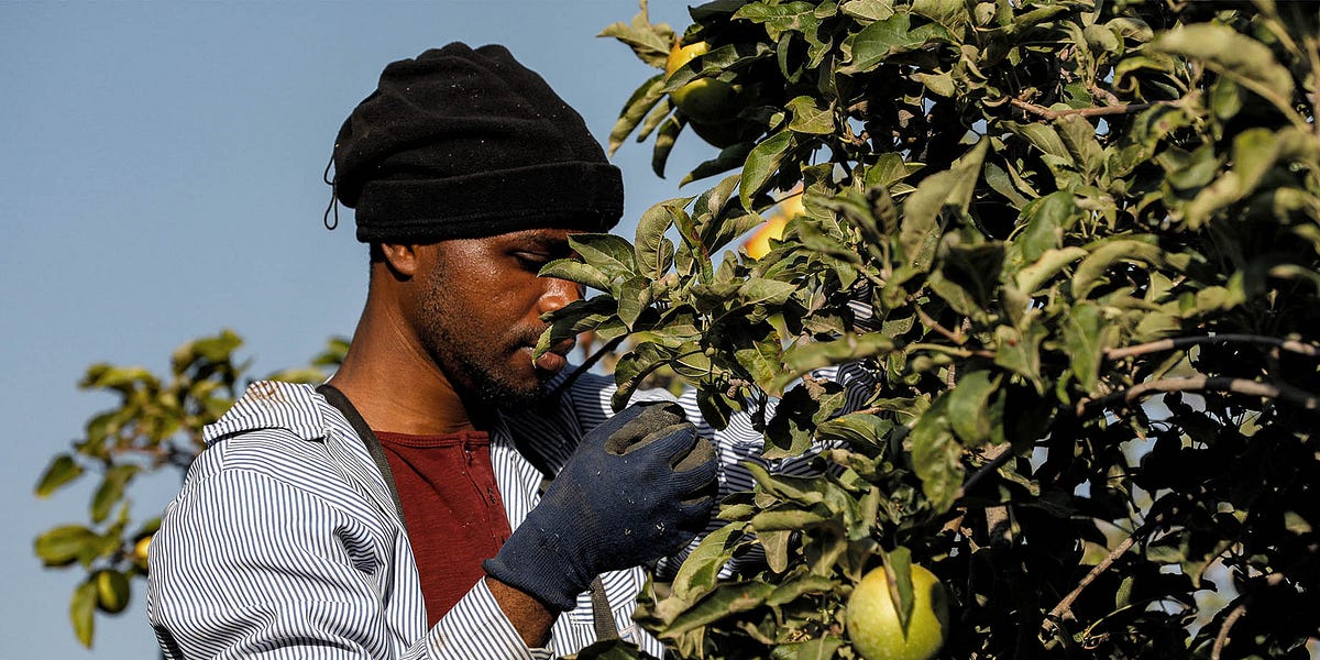 Israel recruits 1,500 Kenyan workers, says Tanzania and Uganda next Israel recruits 1,500 Kenyan workers, says Tanzania and Uganda next