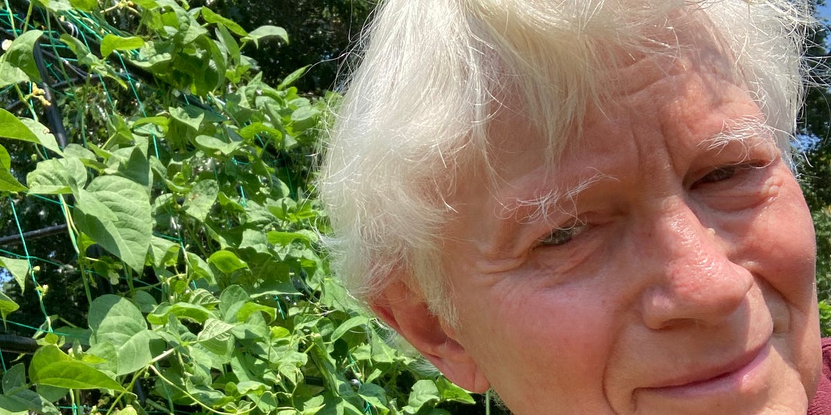 S3. My Post-Work Life - by Peter Gray - Play Makes Us Human