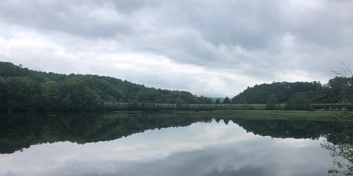 f o g - by Kaitlin Curtice - The Liminality Journal