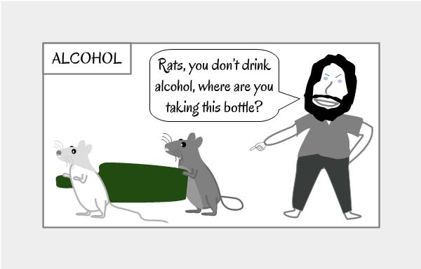 Alcohol - Rat Says