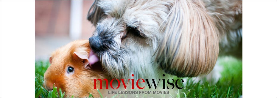 Pawsitive Vibes: Animals In Movies Make You Happier