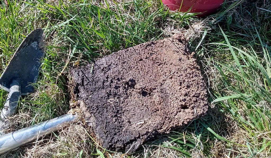 Identifying Nutrient Deficiencies in Soil and Plants